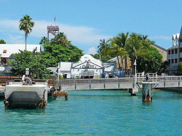 Key West Aquarium Admission - A Closer Look at the Key West Aquarium Experience