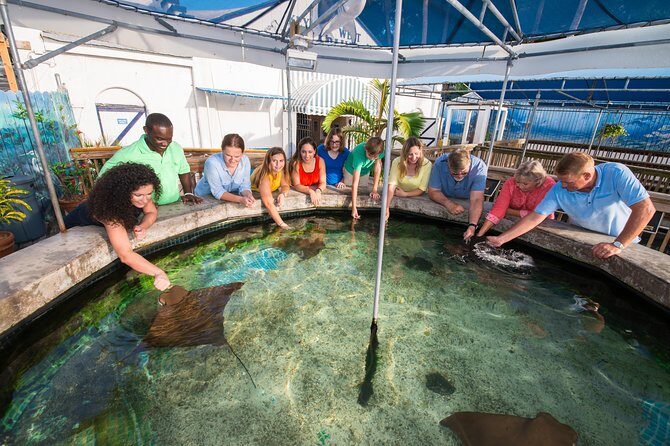 Key West Aquarium Admission - Who Will Love This Aquarium?