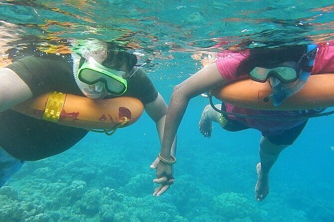 Key West Combo: Hop On Hop Off Afternoon Snorkeling - A Practical Guide to the Key West Combo Tour