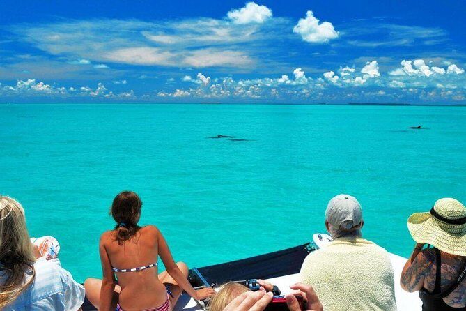 Key West Day Trip from Miami with Activities - An In-Depth Look at the Experience