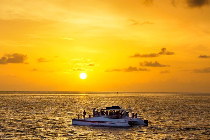 Key West Dolphin and Snorkel Experience - Key Points