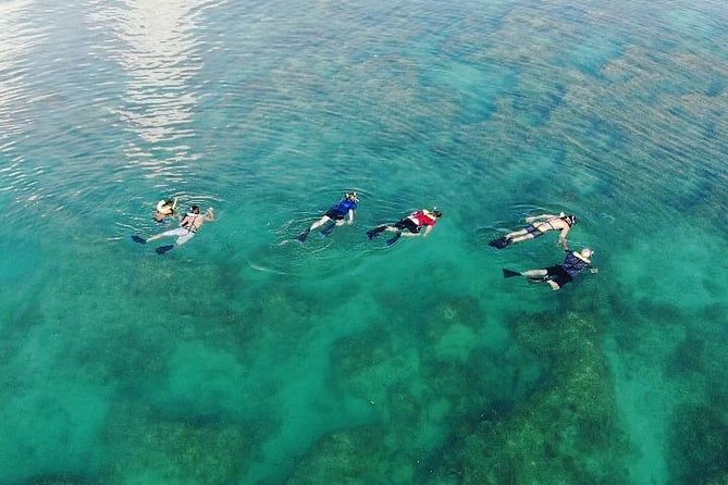 Key West Dolphin and Snorkel Experience - Frequently Asked Questions