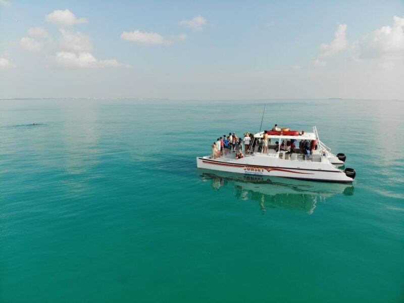 Key West: Dolphin & Reef Snorkel Trip with Sunset Option - Key Points