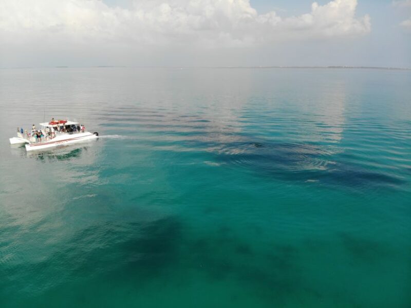 Key West: Dolphin & Reef Snorkel Trip with Sunset Option - What’s Included & What You’ll Need to Bring