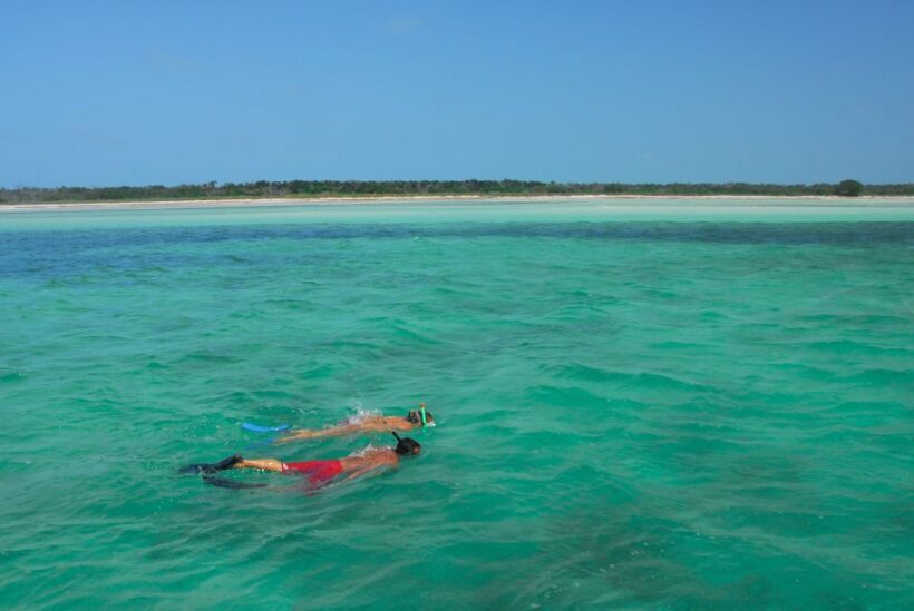 Key West: Dolphin Watching and Snorkeling Eco Cruise Tour - Final Thoughts