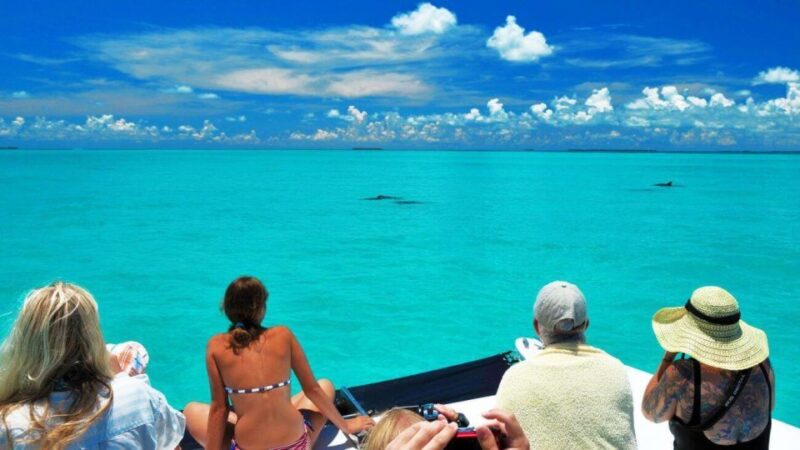 Key West: Dolphin Watching and Snorkeling Eco Cruise Tour - Key Points