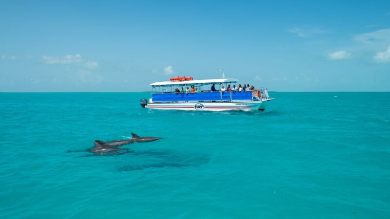 Key West: Dolphin Watching and Snorkeling Eco Cruise Tour - Practical Tips for Travelers