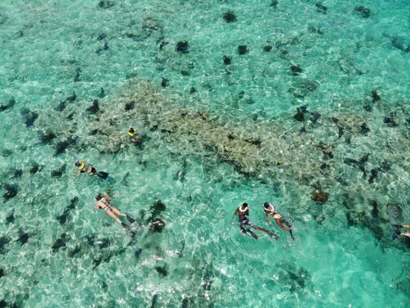 Key West: Dolphin Watching and Snorkeling Sunset Cruise - Who Will Love This Tour?