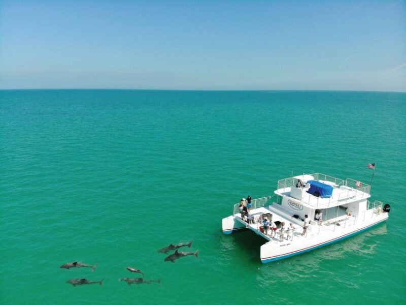 Key West: Dolphin Watching and Snorkeling Sunset Cruise - Who Will Love This Tour?