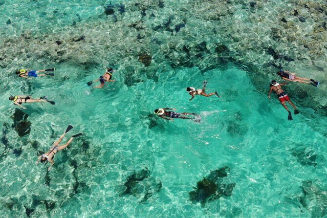 Key West: Dolphin Watching cruise & Snorkeling unlimited beer & soda - Who Should Consider This Tour?