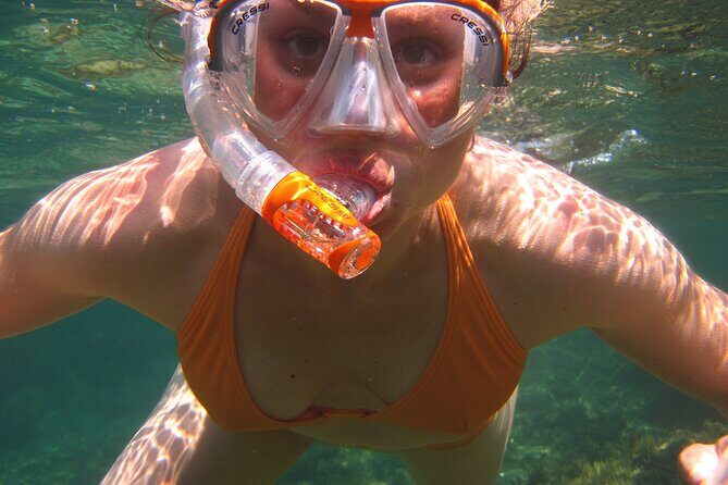 Key West: Dolphin Watching cruise & Snorkeling unlimited beer & soda - FAQ