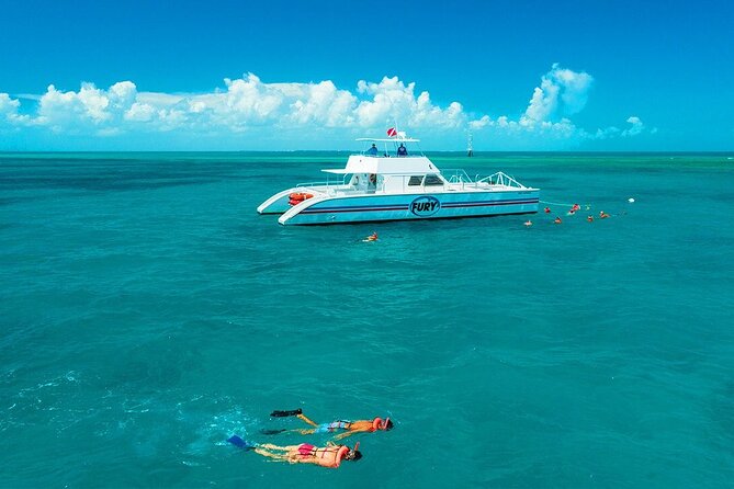 Key West Double-Dip Snorkel Tour-Two Stops, Twice the Fun! - Traveler Recommendations and Ratings