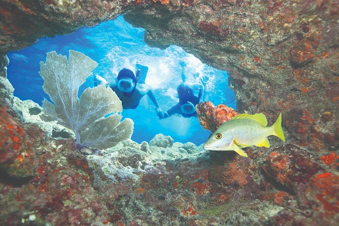 Key West Double-Dip Snorkel Tour-Two Stops, Twice the Fun! - Guest Experiences and Feedback