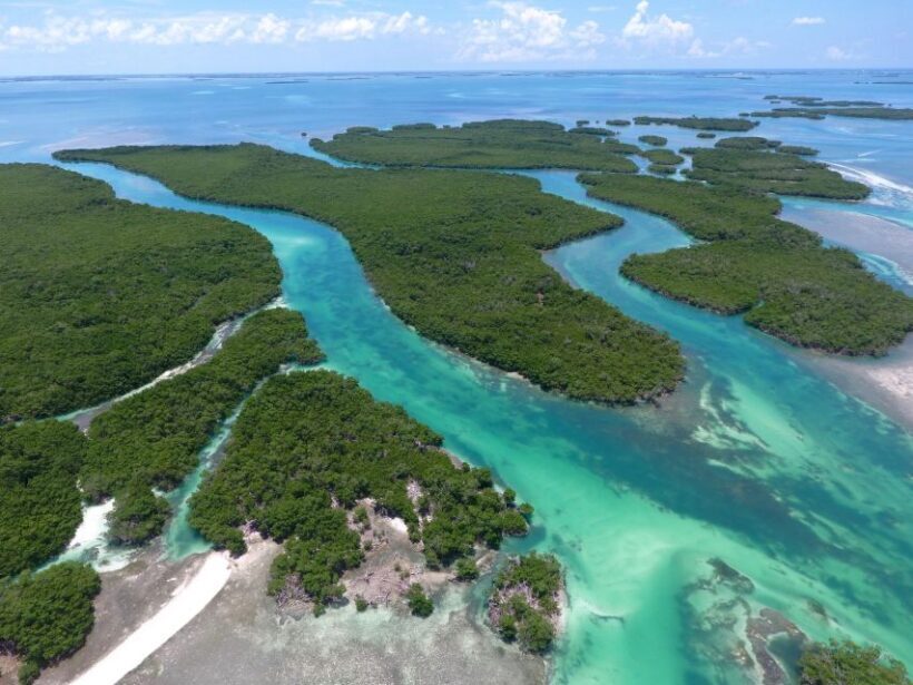 Key West: Eco Safari Sandbar Tour with Snorkeling - An In-Depth Look at the Eco Safari Sandbar Tour