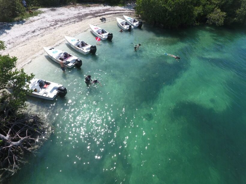 Key West: Eco Safari Sandbar Tour with Snorkeling - The Value of This Experience