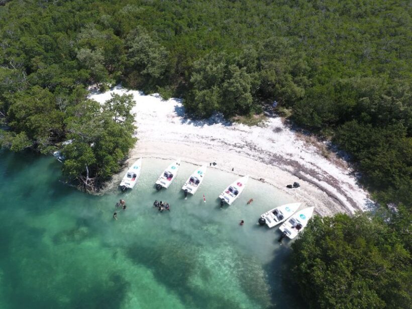 Key West: Eco Safari Sandbar Tour with Snorkeling - Who Will Love This Tour?
