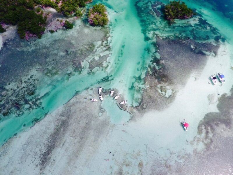 Key West: Eco Safari Sandbar Tour with Snorkeling - Key Points