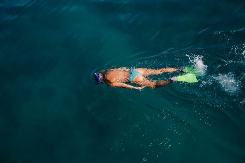 Key West: Eco Safari Sandbar Tour with Snorkeling - Final Thoughts and Who Will Love This Tour