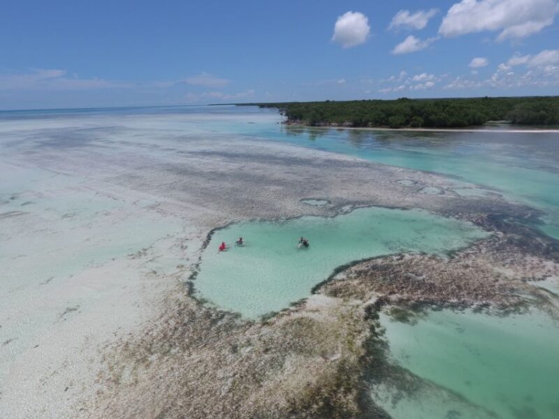 Key West: Eco Safari Sandbar Tour with Snorkeling - The Sum Up