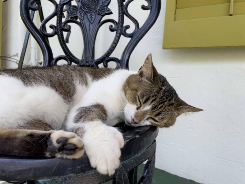 Key West GPS Audio Tour: From Seaside Village to Micro State - Authentic Experiences & What Youll Take Away