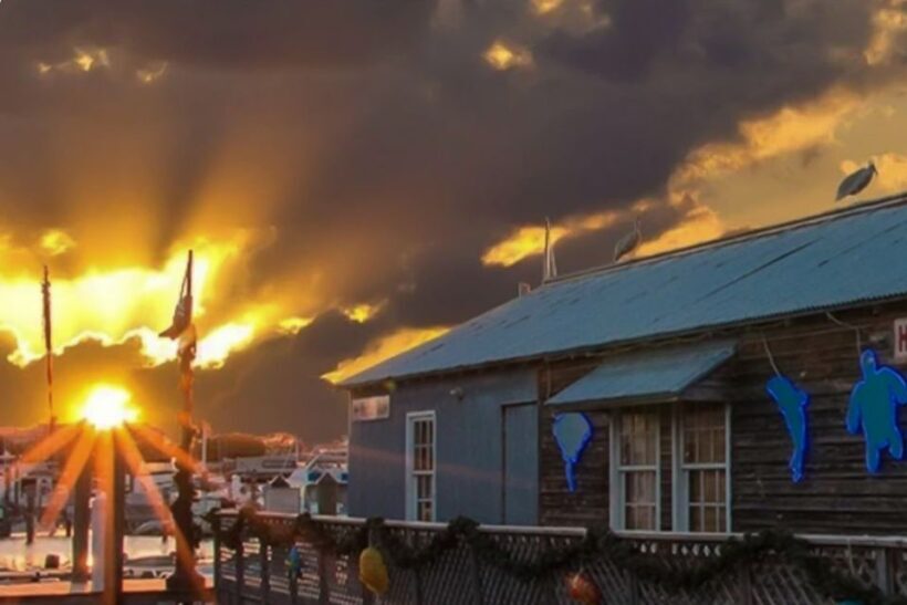 Key West: Hemingway's Life and Local Food Walking Tour - The Practical Side