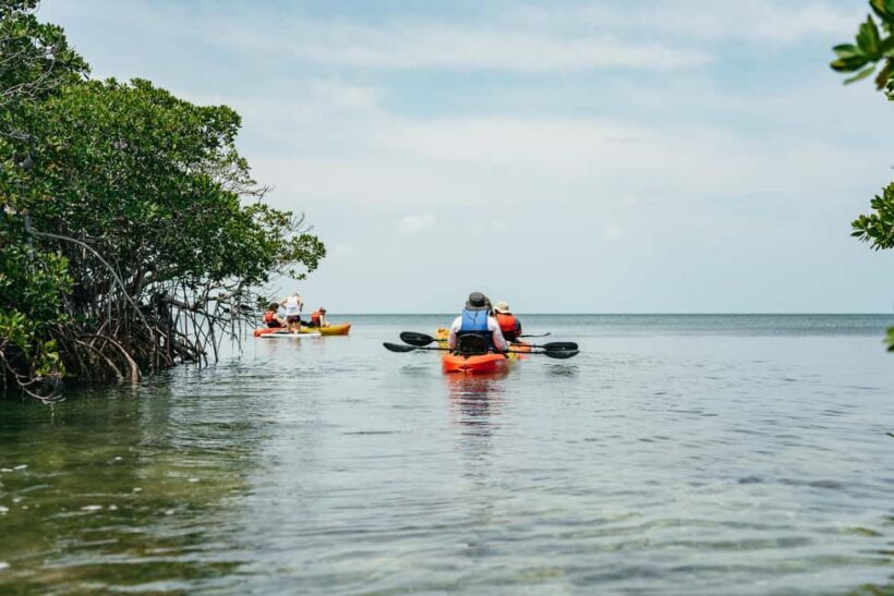 Key West: Hidden Sanctuary Kayak Tour with Sandbar Safari - Final Thoughts