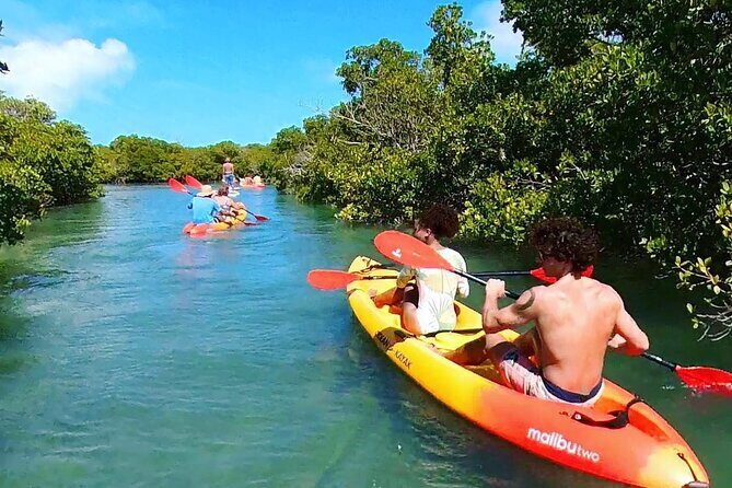 Key West Hidden Sanctuary Mangrove Kayak Tour With Drinks - The Itinerary: What to Expect on Your Day Out