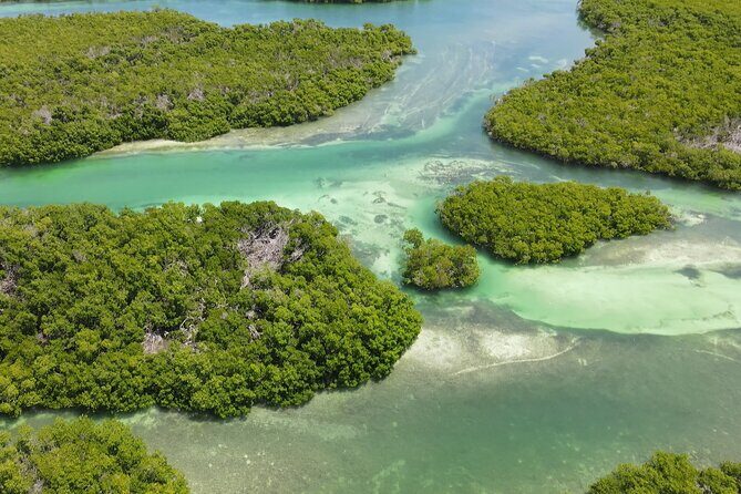 Key West Hidden Sanctuary Mangrove Kayak Tour With Drinks - Final Thoughts: Who Will Love This Tour?