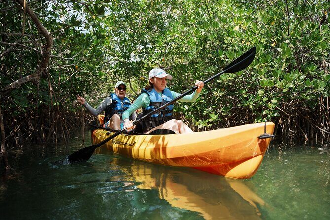 Key West Hidden Sanctuary Mangrove Kayak Tour With Drinks - Final Verdict