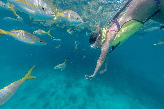 Key West Island Eco Tour with Transportation from Miami - The Practical Side: Transportation, Price, and Group Size