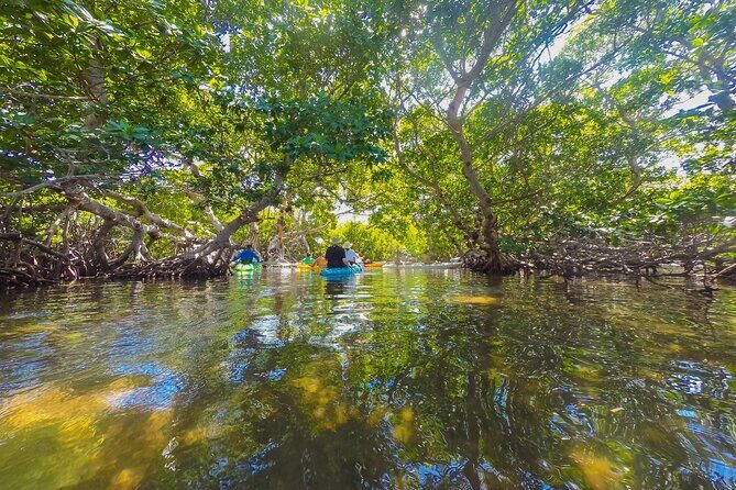 Key West Island Eco Tour with Transportation from Miami - Who Is This Tour Best For?