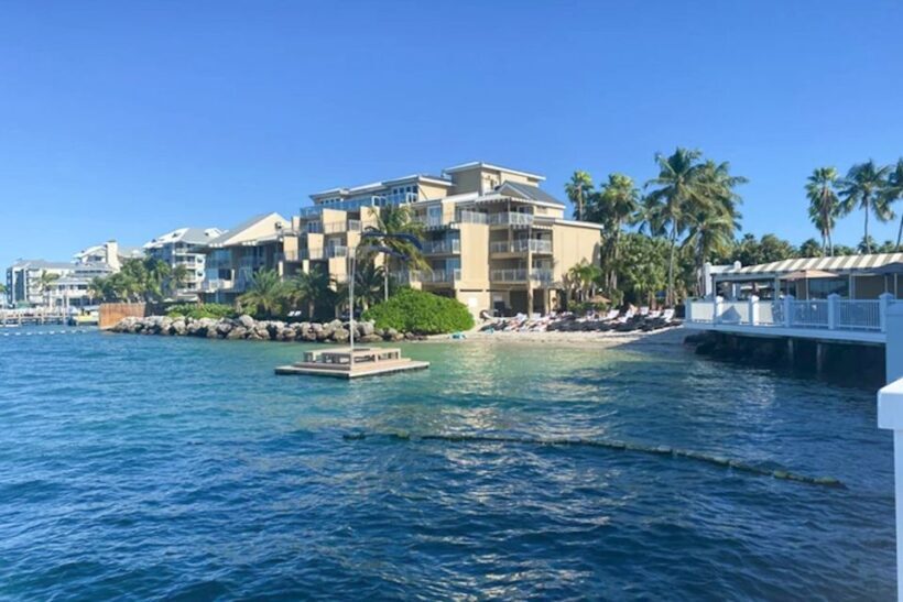 Key West: Jimmy Buffet Walking Tour with Key Lime Pie - Final Thoughts: Who Will Love This Tour?