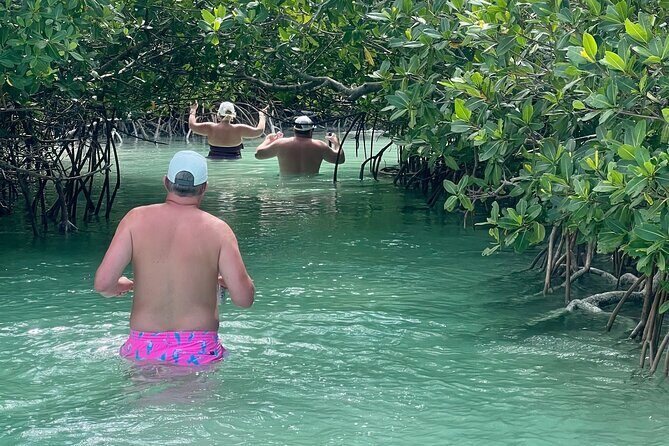 Key West Kayak Eco Tour | An Eco-Friendly Adventure Awaits! - Final Thoughts