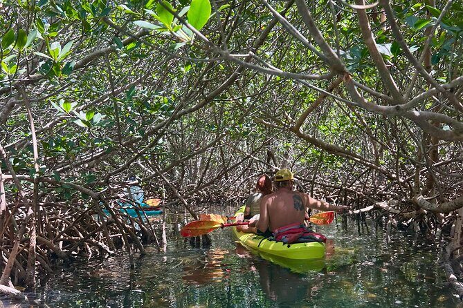 Key West Kayak Eco Tour | An Eco-Friendly Adventure Awaits! - FAQ