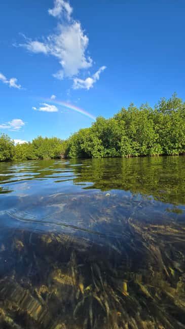 Key West: Kayak or Paddleboard Rental - What to Expect from Your Geiger Key Kayak or Paddleboard Adventure
