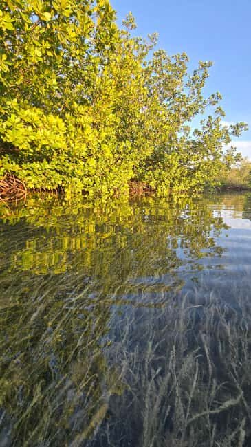 Key West: Kayak or Paddleboard Rental - The Details That Make a Difference