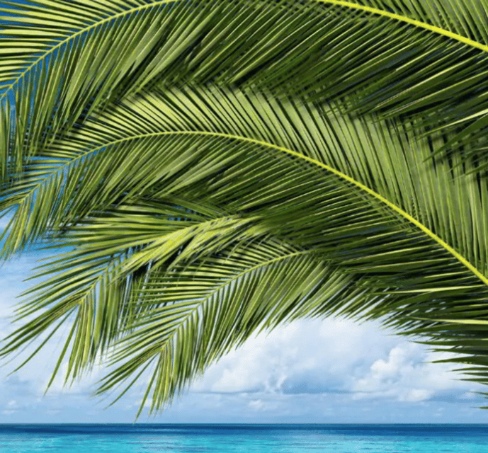 Key West: Luggage Services - Who Will Love This Service?