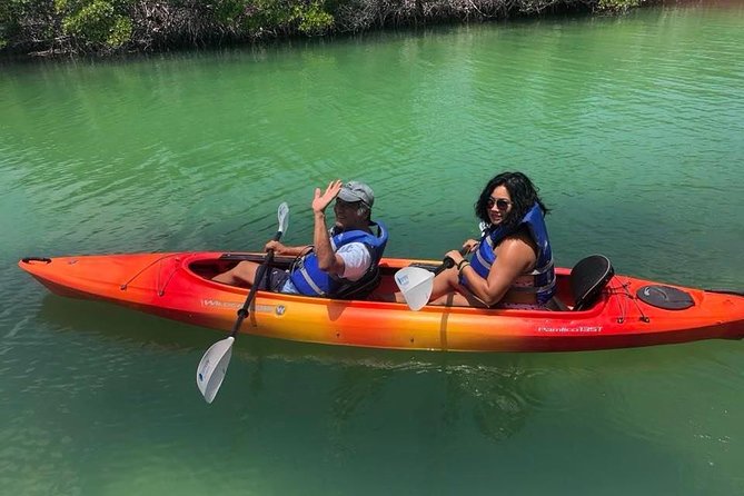 Key West Mangrove Kayak Eco Tour - Practical Tips for Your Kayaking Adventure