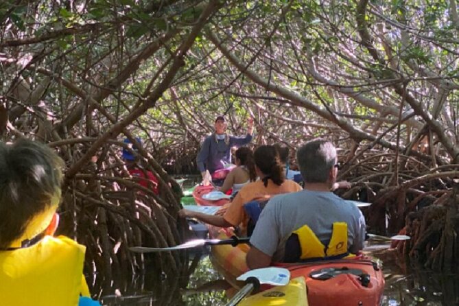 Key West Mangrove Kayak Eco Tour - FAQ