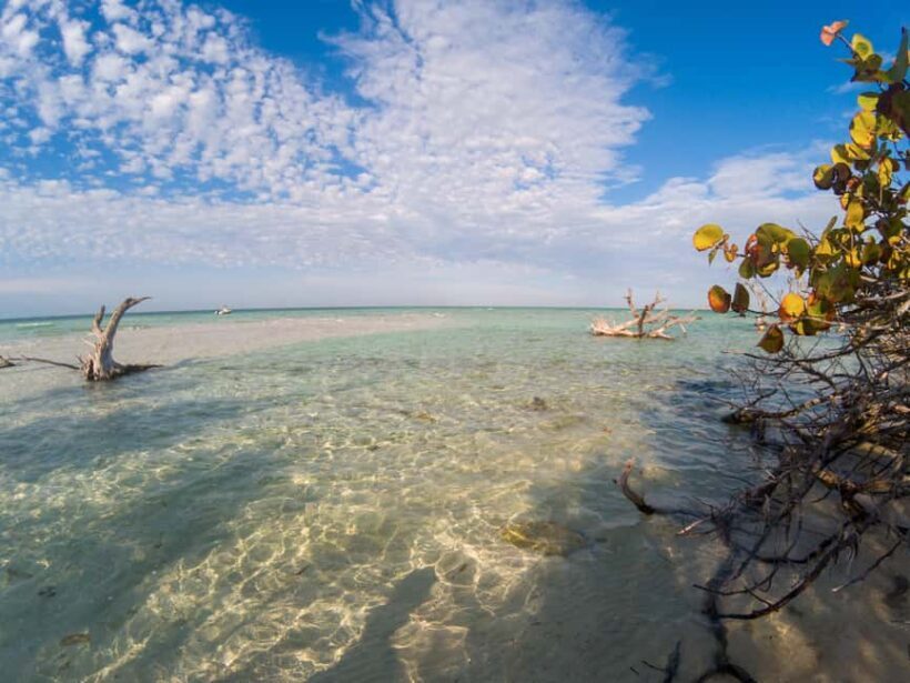 Key West: Private Boat Charter with Captain - Exploring Key West from the Water: An In-Depth Look