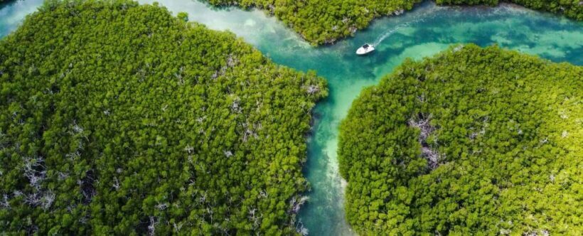 Key West: Private Boat Charter with Captain - Who Will Love This Tour?