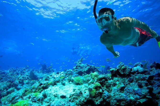 Key West Reef Snorkel – Morning Mimosas or Afternoon Margaritas - FAQ