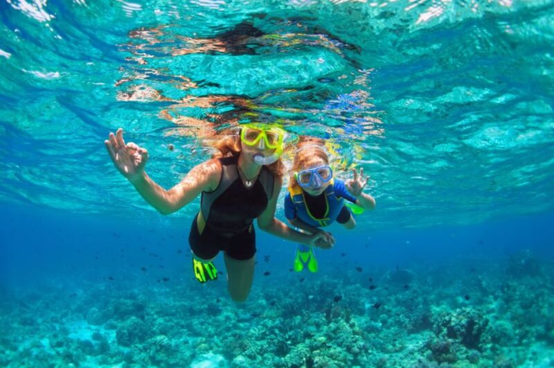Key West: Reef Snorkel Morning Tour with Breakfast & Mimosas - Who Will Love This Tour?