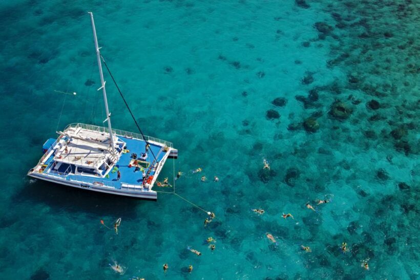 Key West: Reef Snorkeling with Drinks and Sunset Option - The Itinerary and Marine Highlights