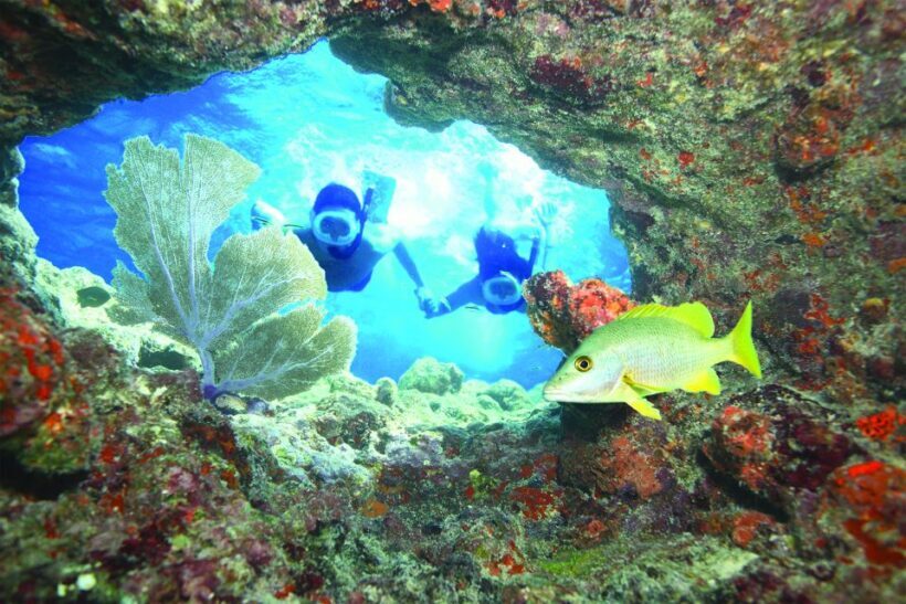 Key West: Reef Snorkeling with Drinks and Sunset Option - Final Word