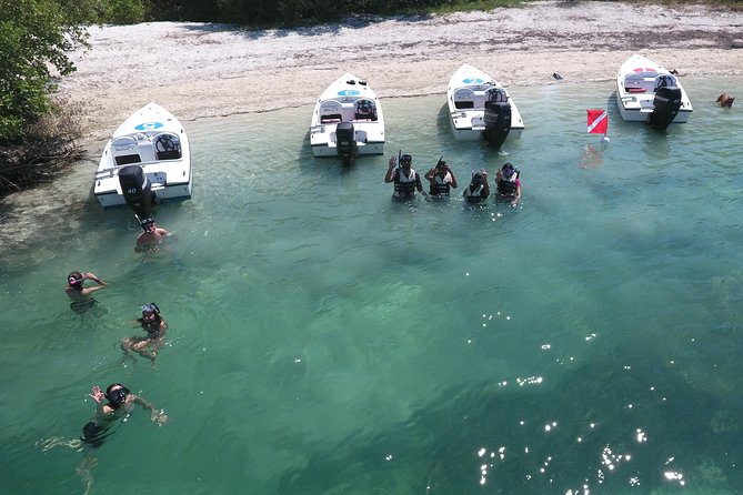 Key West Safari Eco Sandbar Tour Adventure with Snorkeling - The Speedboat Experience: A Ride to Remember