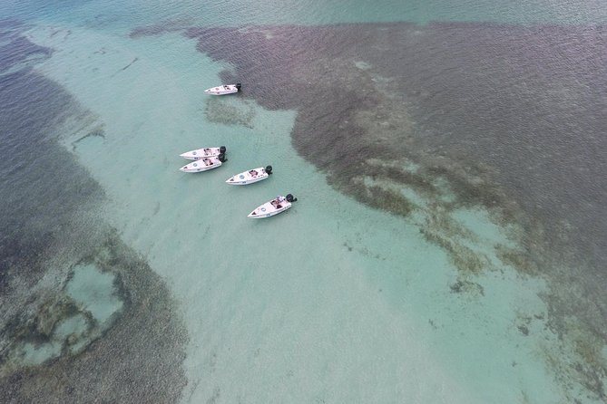 Key West Safari Eco Sandbar Tour Adventure with Snorkeling - Practical Details: What You Need to Know