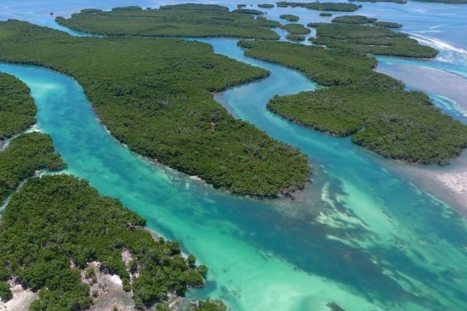 Key West Safari Eco Sandbar Tour Adventure with Snorkeling - Who Will Love This Tour?