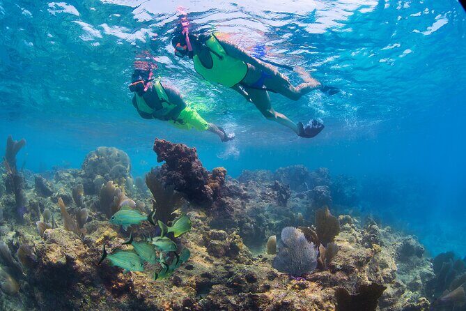 Key West Sail and Snorkel Day Trip from Fort Lauderdale - The Cost: Is It Good Value?