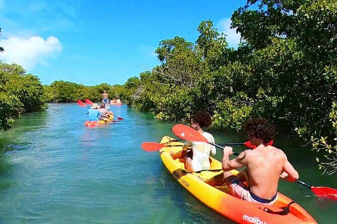 Key West Sandbar Charter With Kayak Tour: Includes Lunch & Drinks - The Experience from Guest Reviews